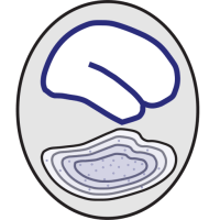 More new team members! – Predictive Clinical Neuroscience Lab